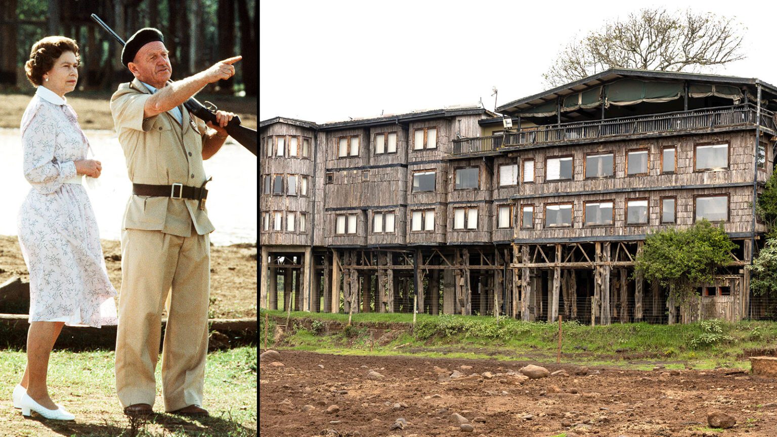 Treetops Hotel: Where Britain's Princess Became a Queen - See Africa Today
