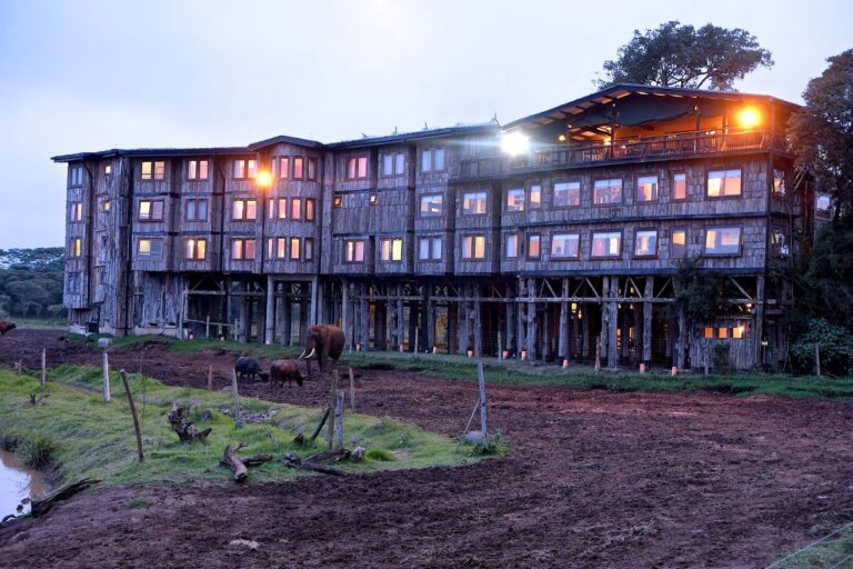 Treetops Hotel: Where Britain's Princess Became a Queen - See Africa Today