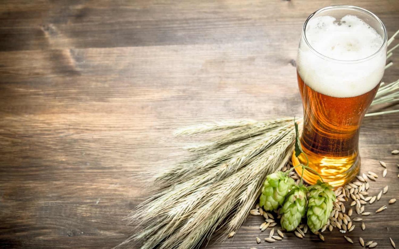 6 of The Best Craft Beer in South Africa - See Africa Today