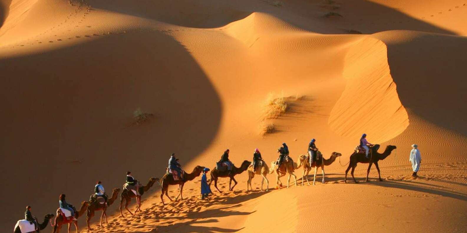 6 Reasons ‌Why You Should Live in Morocco - See Africa Today