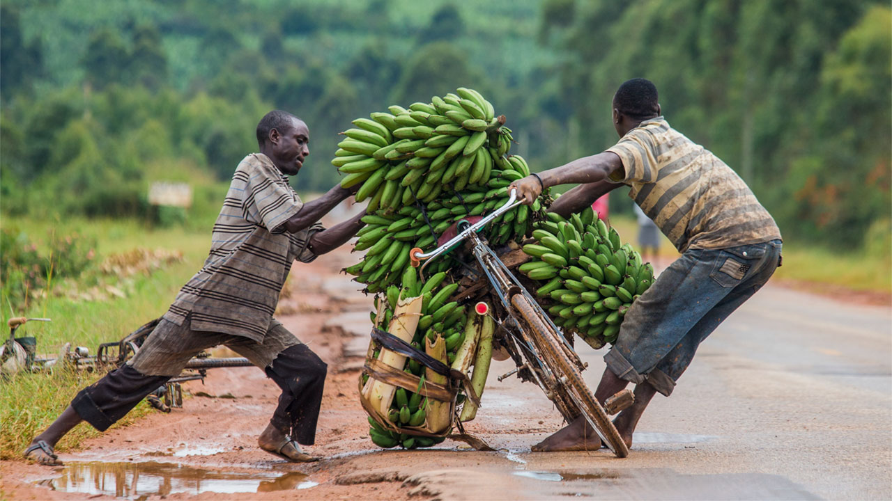 Why Bananas in Uganda Make a 1 Kg Meal Daily - See Africa Today