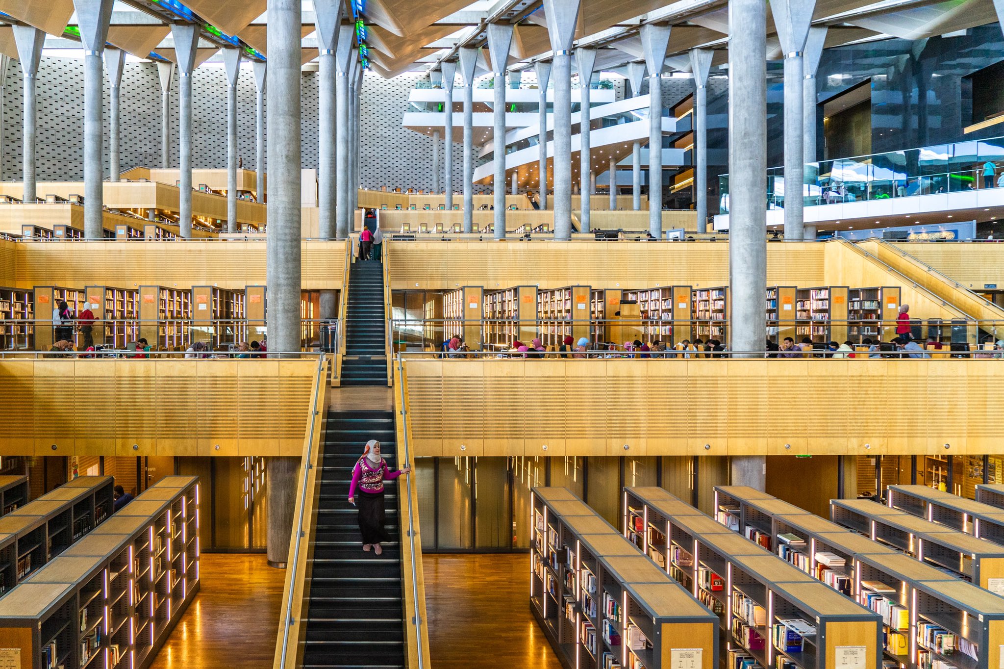 10 Best African Libraries to Include in Your Travel List - See Africa Today