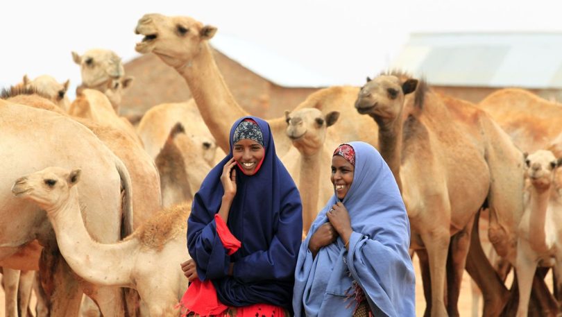 Ready for Marriage? Prepare for African Wedding Dowry This Way - See ...