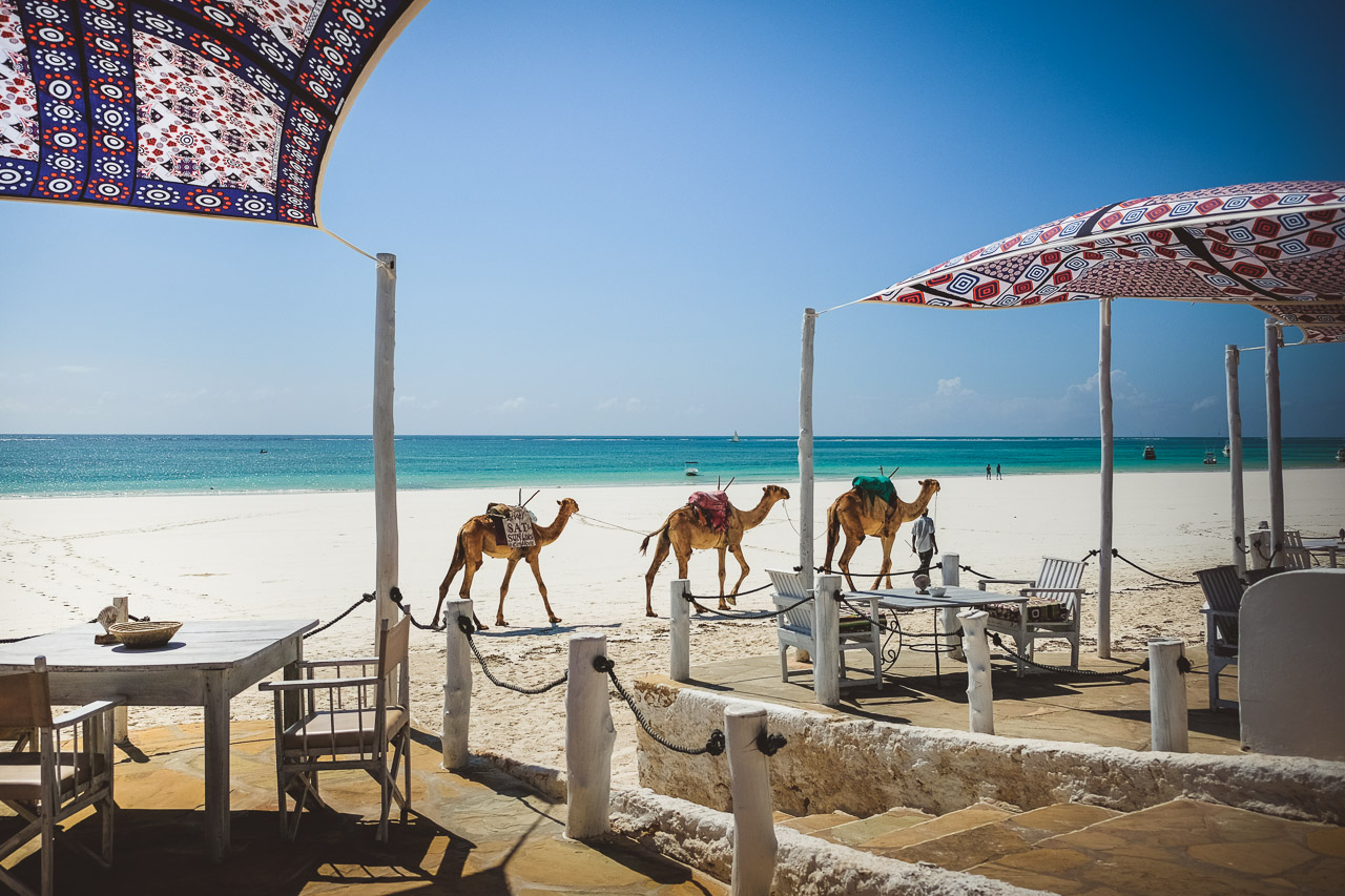 Why Kenya’s Diani Beach Ranks Among the World’s Best Beaches - See ...