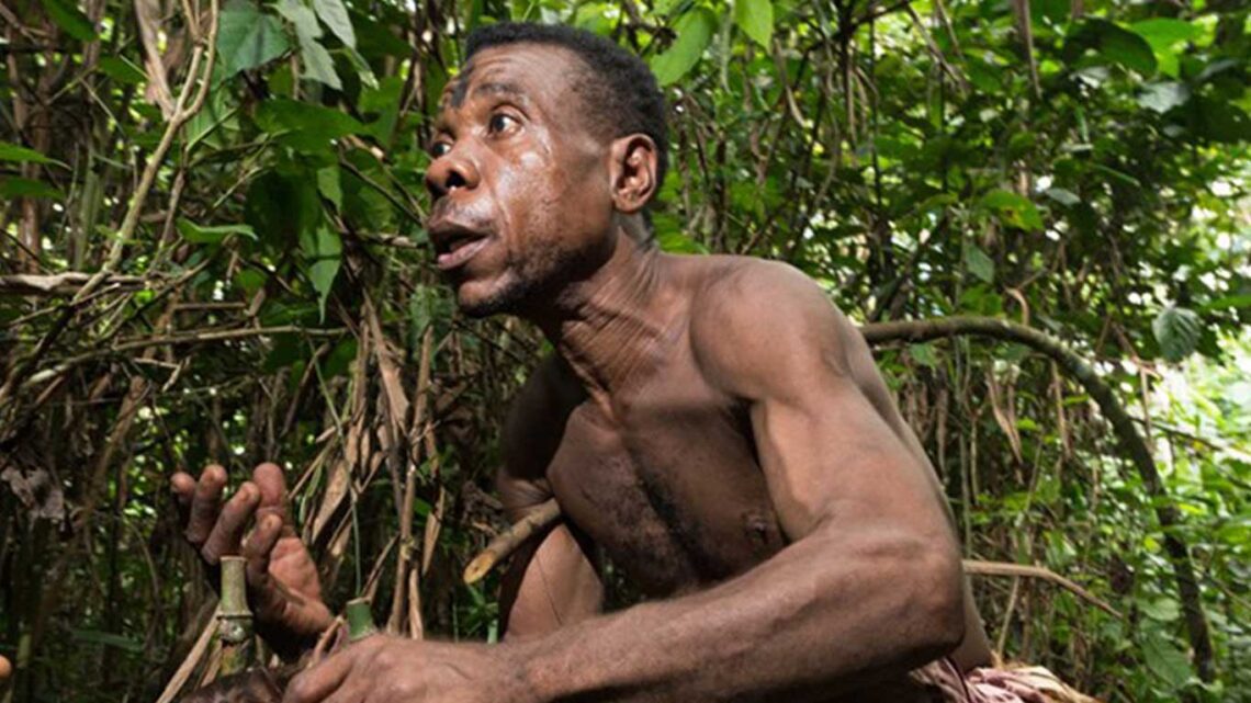 Mystery of Pygmy Tribe Congo That Eats Anything on Earth - See Africa Today