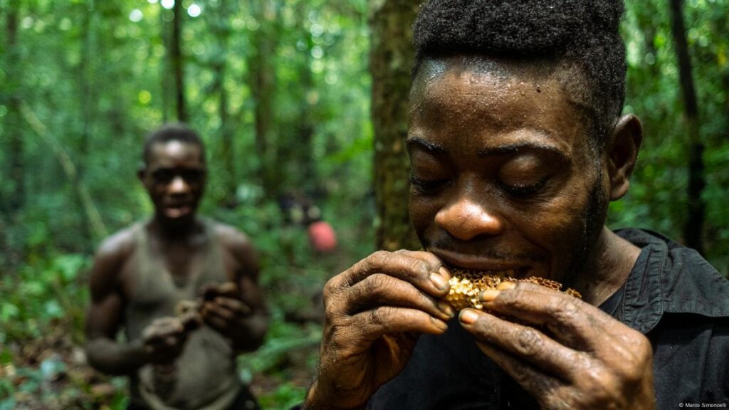 Mystery of Pygmy Tribe Congo That Eats Anything on Earth - See Africa Today