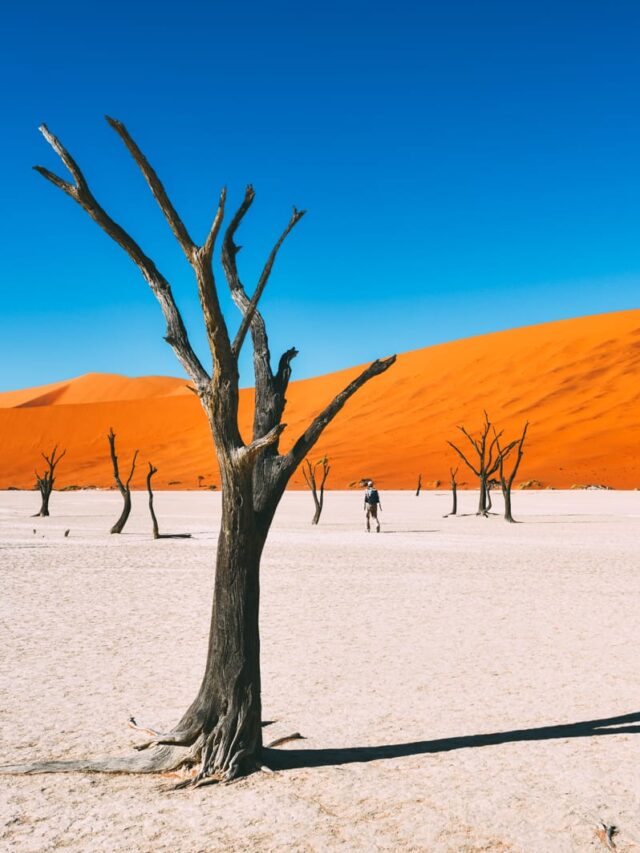 Namibia has Africa's most spectacular scenery. - See Africa Today