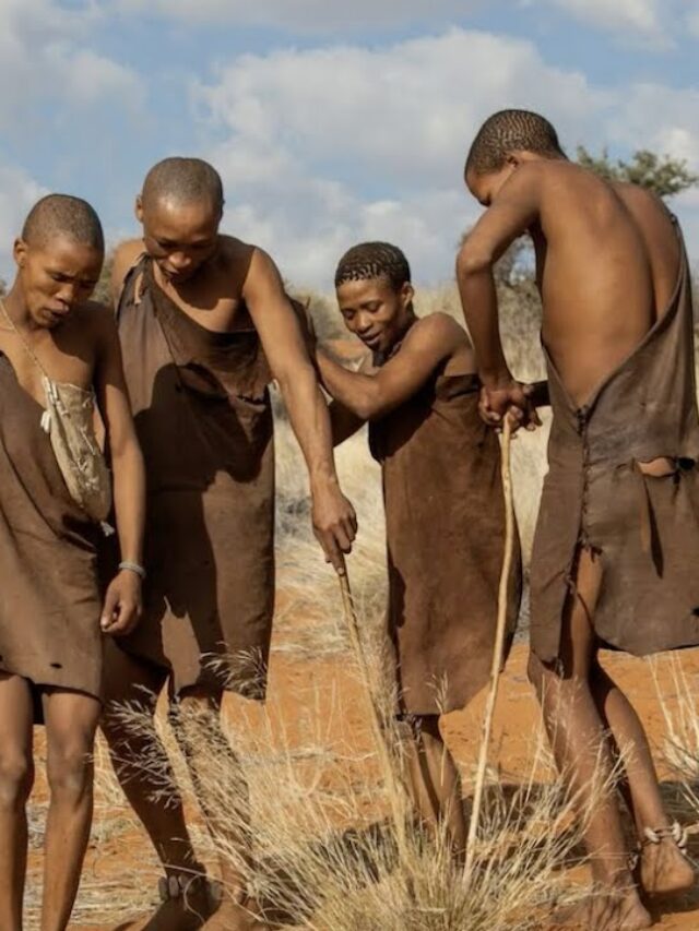 Oldest tribe of south Africa - See Africa Today