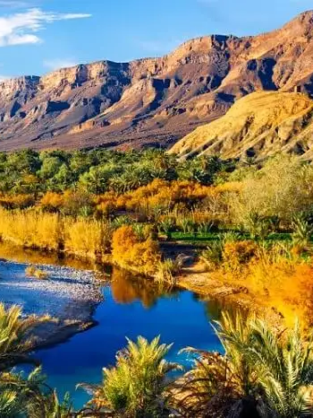 Moroccan Draa Valley exploration - See Africa Today