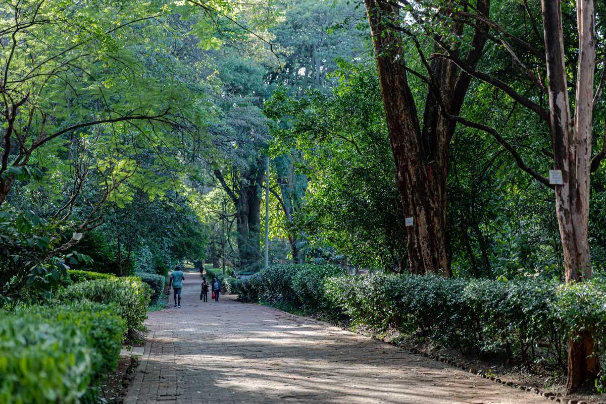 5 Fantastic Hidden Gems in Nairobi - See Africa Today