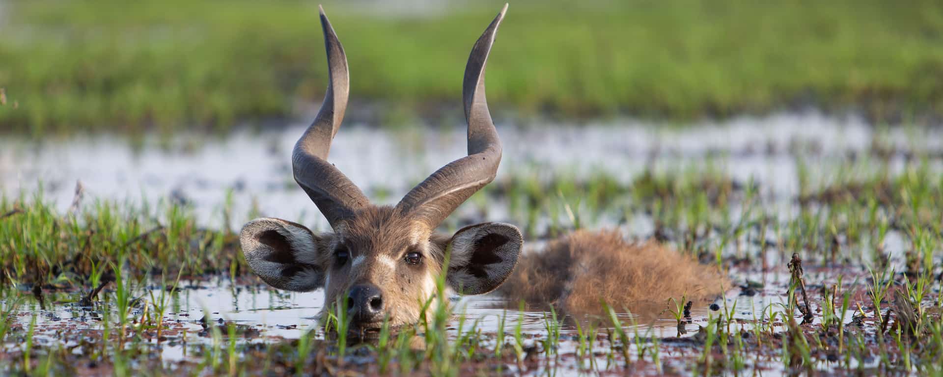 4 Amazing Hidden Gems in Kenya No One Talks about - See Africa Today