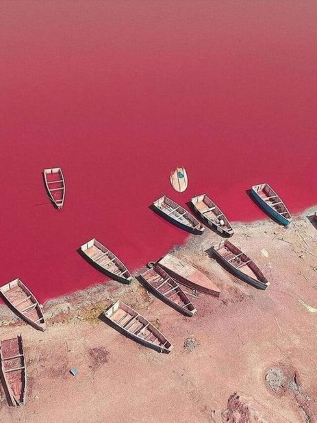 Africa's Pink Lake - See Africa Today
