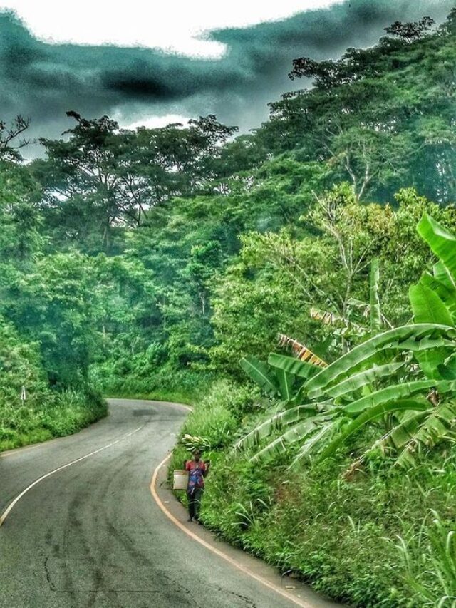 FACTS ABOUT ANGOLA - See Africa Today