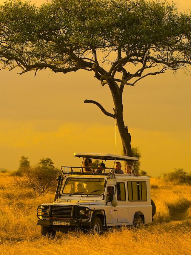 Africa's most famous wildlife reserve - See Africa Today