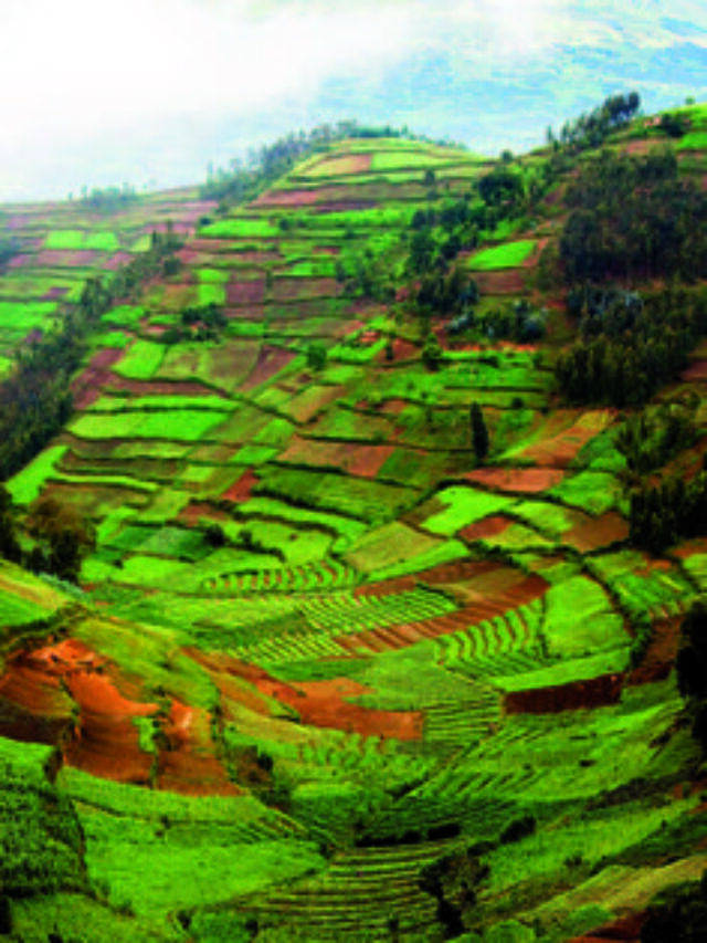 FACTS ABOUT RWANDA - See Africa Today