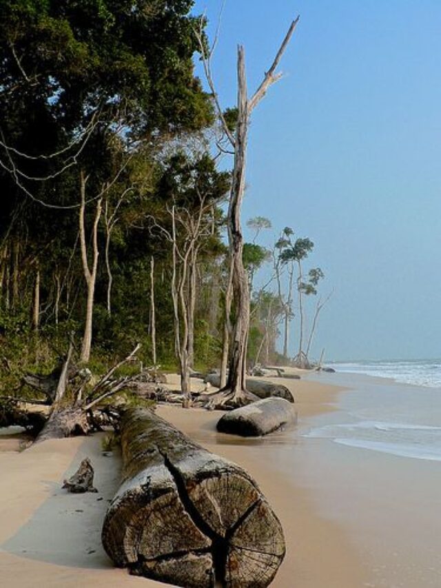 FACTS ABOUT GABON - See Africa Today