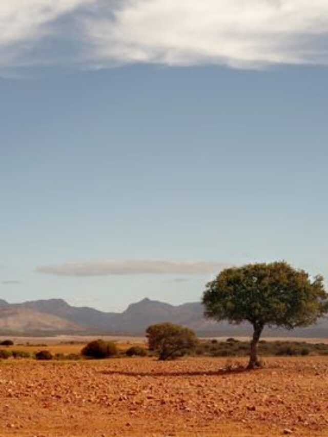 FACTS ABOUT KAROO DESERT - See Africa Today