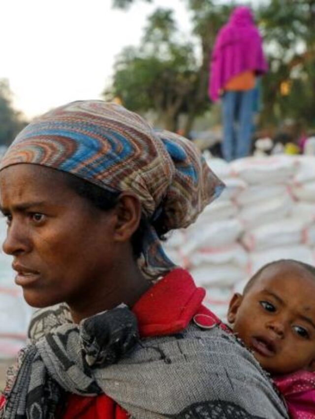 UN agency investigating humanitarian food - See Africa Today
