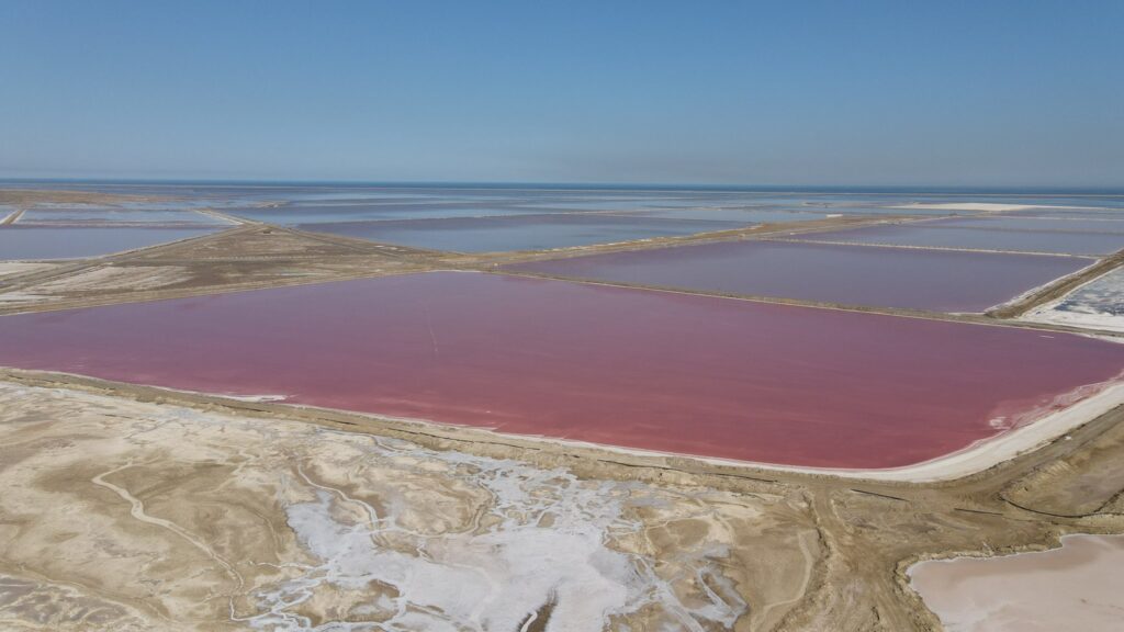 The Magic of Namibia's Pink Lake Walvis Bay - See Africa Today