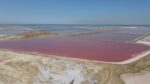 The Magic of Namibia's Pink Lake Walvis Bay - See Africa Today