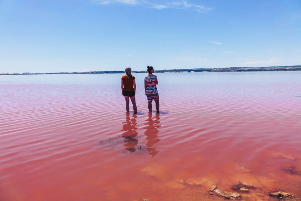 The Magic of Namibia's Pink Lake Walvis Bay - See Africa Today