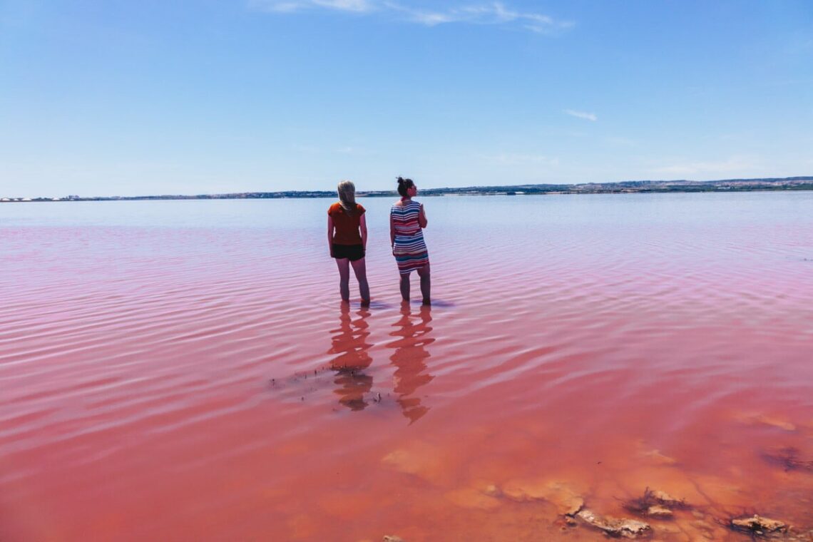 The Magic of Namibia's Pink Lake Walvis Bay - See Africa Today
