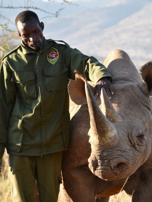 Wildlife Conservation Heroes - Preserving Africa's Treasures - See ...