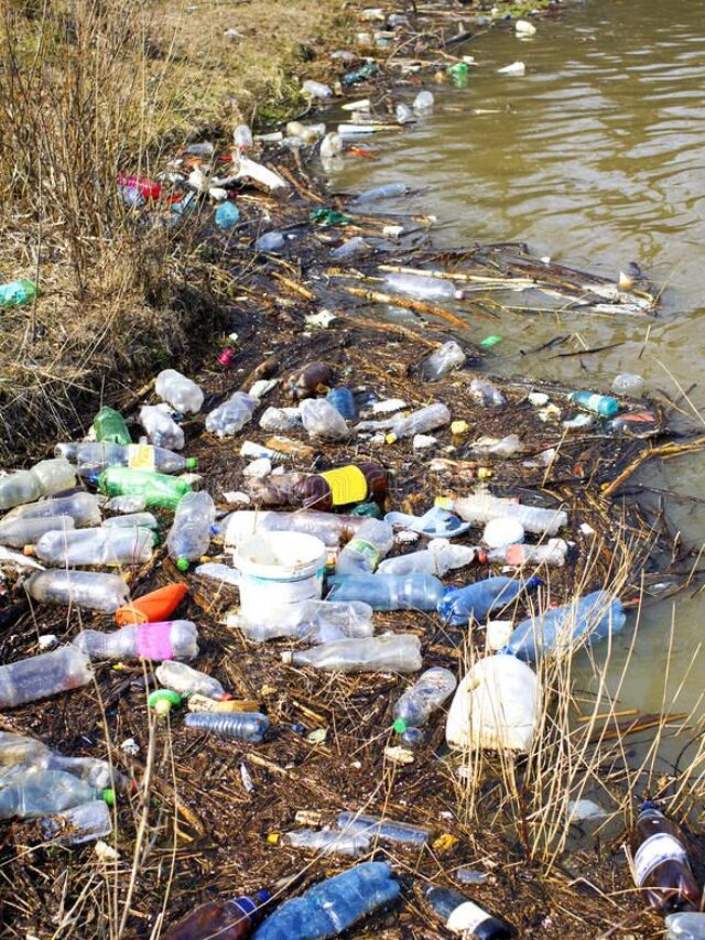 African air pollution - See Africa Today