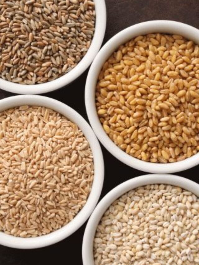 Grains in Africa - See Africa Today