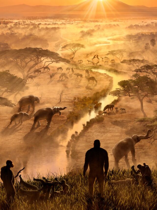 Evolution of African's genetics - See Africa Today