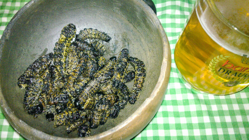 Famous Food in Namibia - See Africa Today