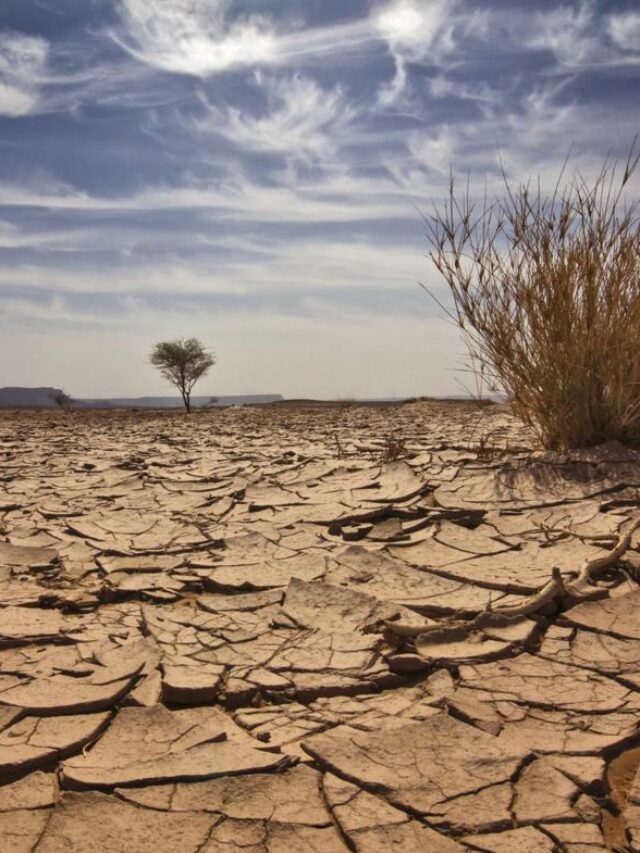 African Environmental Issues - See Africa Today