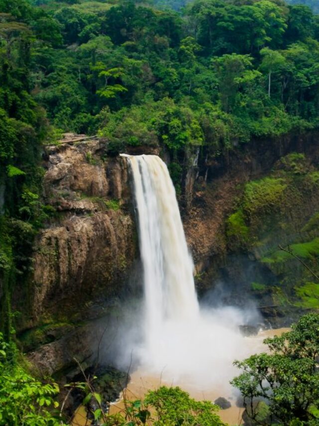 Cameroon: Ecosystems, National Park. etc. - See Africa Today