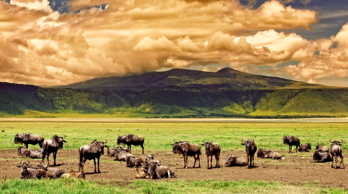7 Natural Wonders in Africa Full of Wild Beauty - See Africa Today