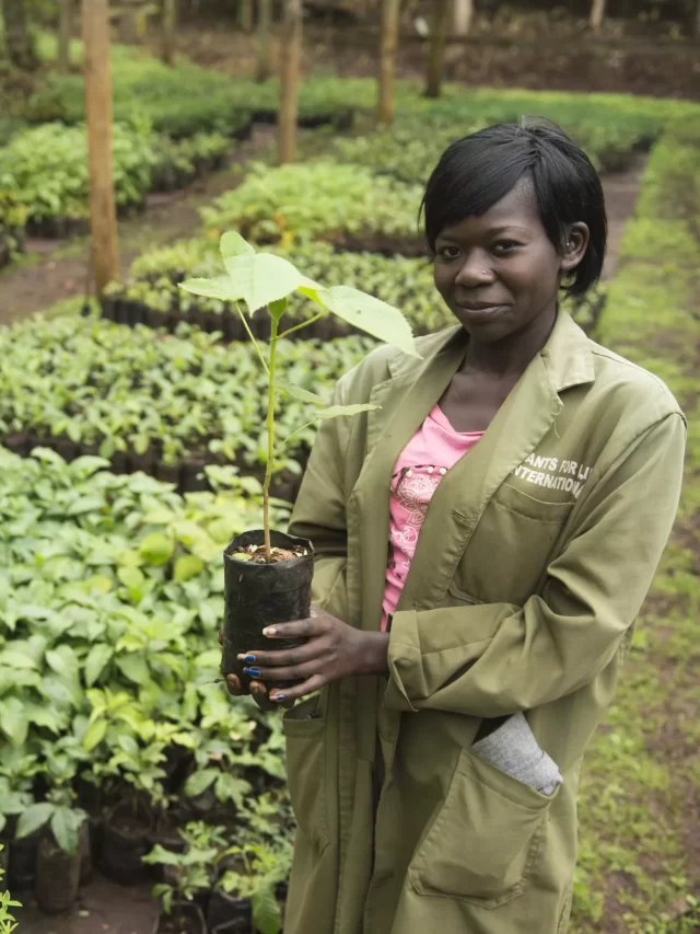 African Botanical Gardens and Indigenous Flora - See Africa Today