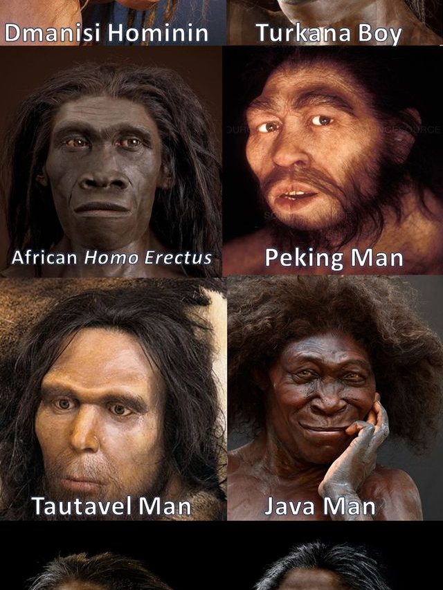 Is human evolution starting from africa - See Africa Today