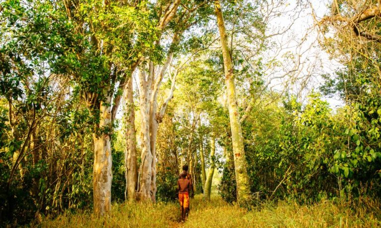 7 UNESCO world heritage sites in Kenya - FurtherAfrica