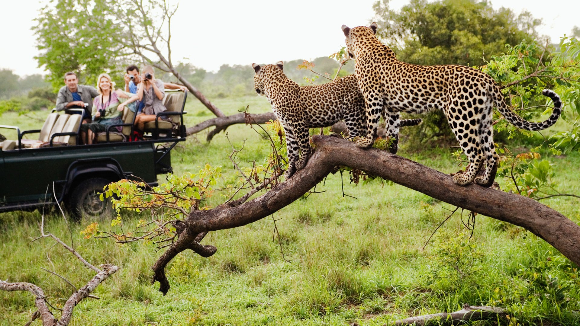 Your Ultimate Guide to Exploring South Africa in December