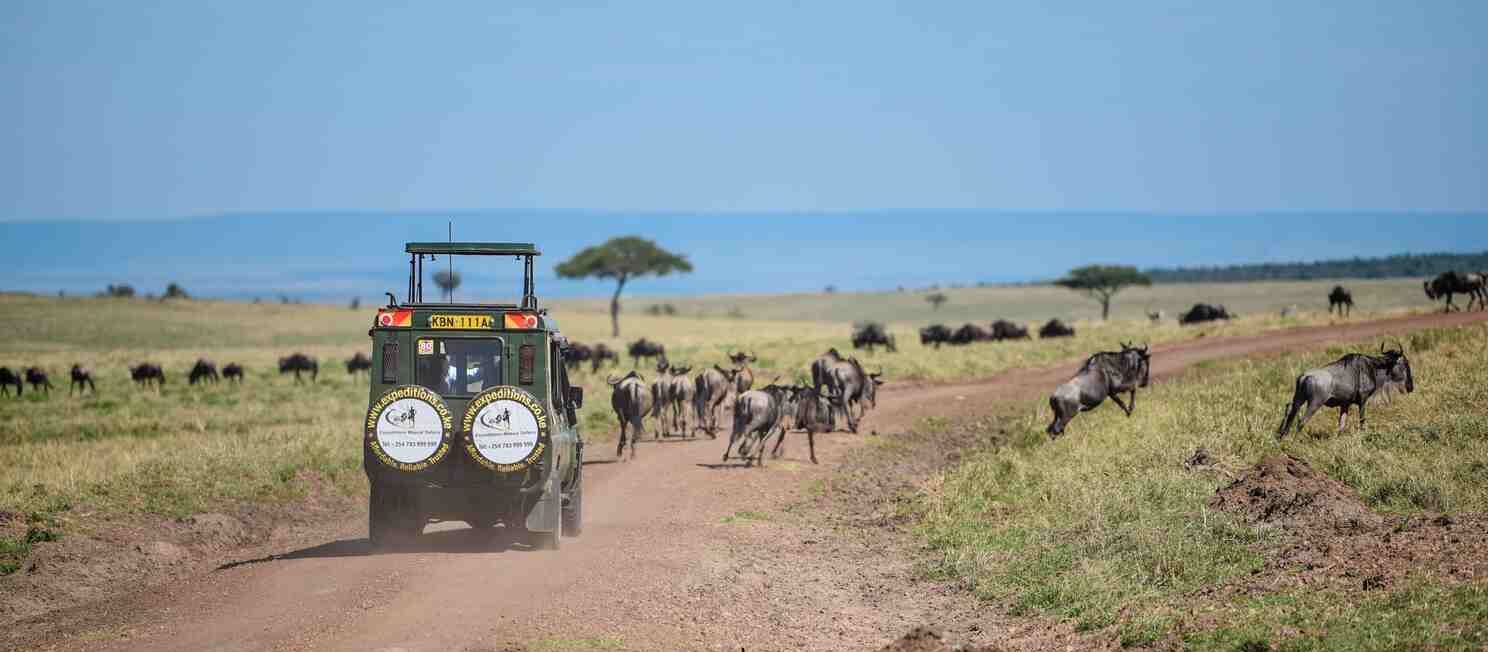 Top tour operators in Kenya not to miss - FurtherAfrica