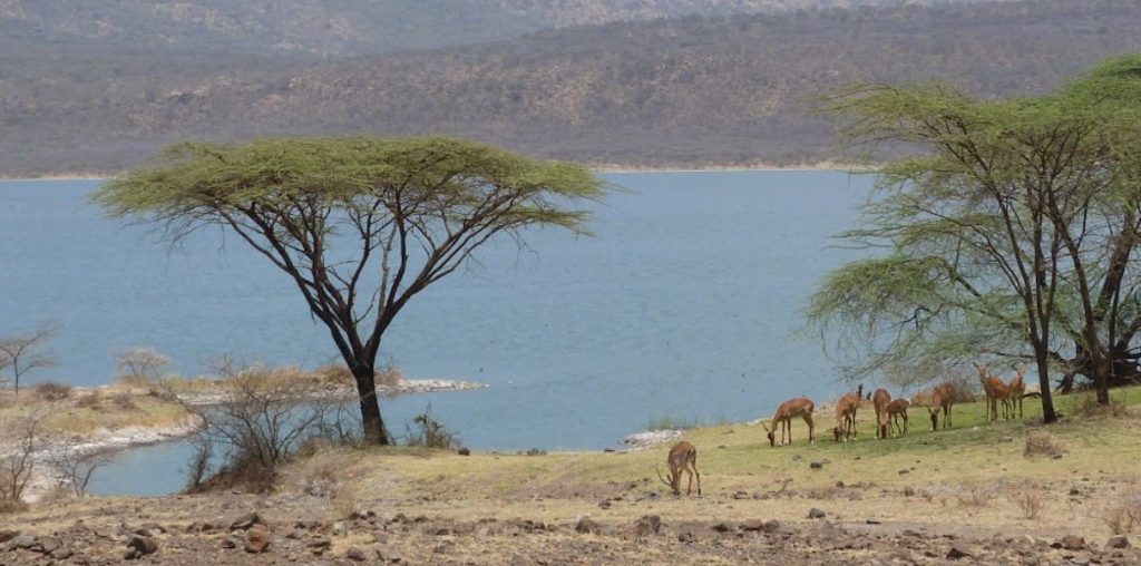 Top 6 road trip in Kenya in 2024 - FurtherAfrica