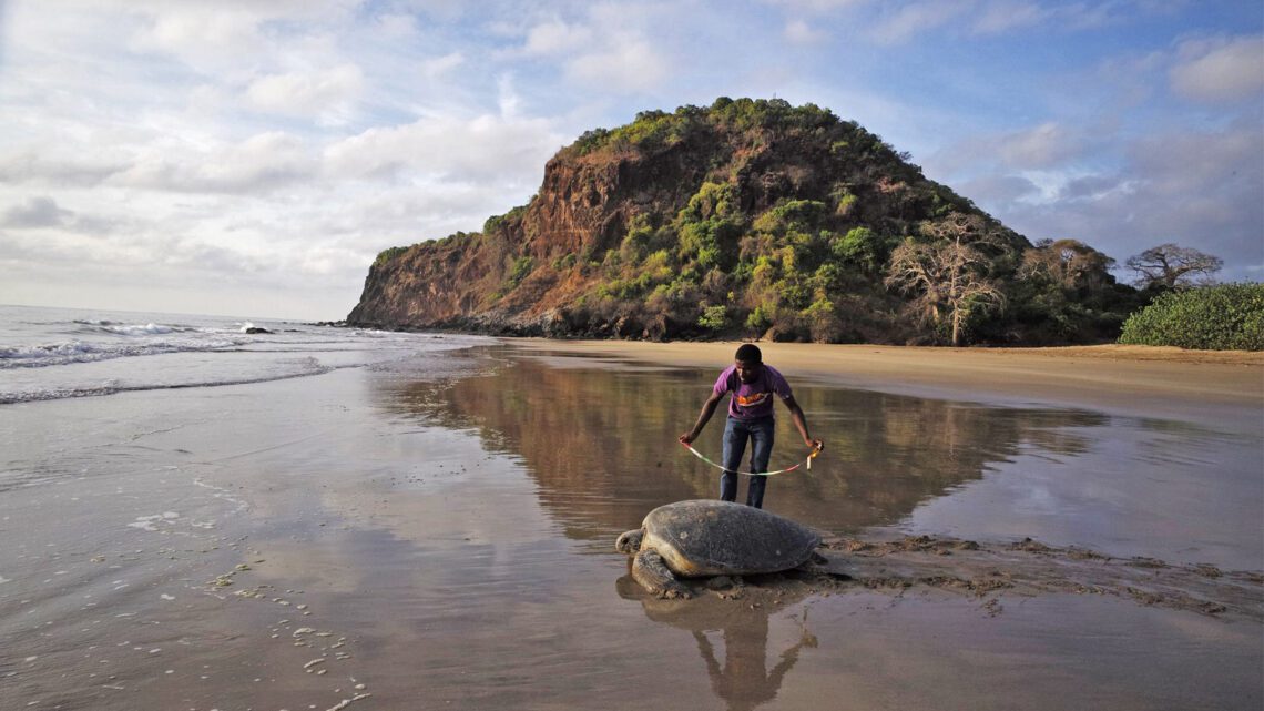 5 Easy Reasons to Visit Perfume Island Comoros