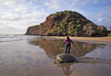 Home - See Africa Today