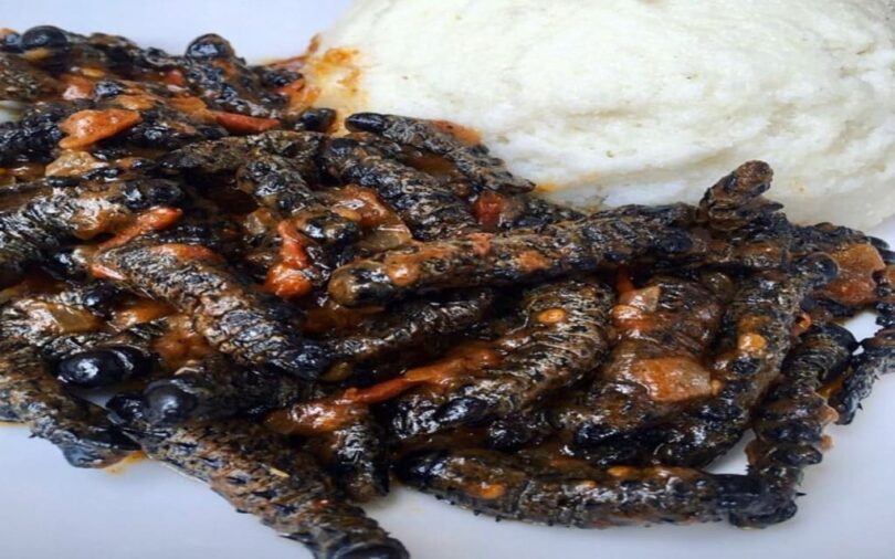 Worms on the Menu: Meet South African Tribe That Eat Worms