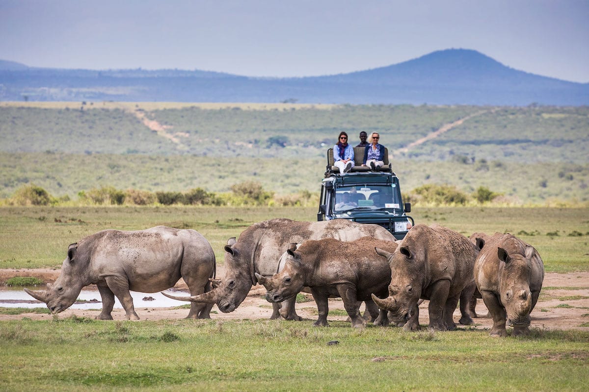 Amazing Reasons Why You Should Visit Solio Game Reserve