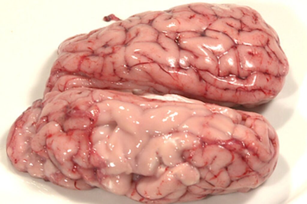 10 Awfully Weird Foods Nigerians Eat