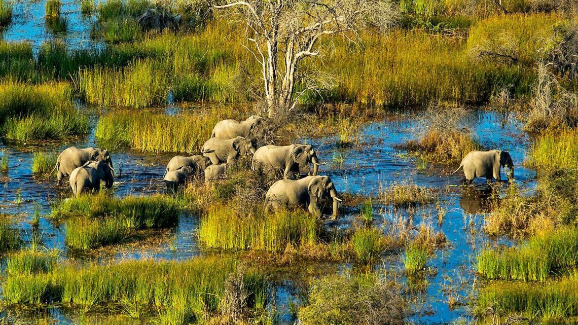 7 Natural Wonders in Africa Full of Wild Beauty - See Africa Today